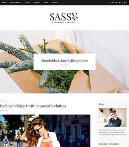 EasyBlog Themes - Incredible Team of Web Innovators Crafting the Best Wordpress Themes for ...